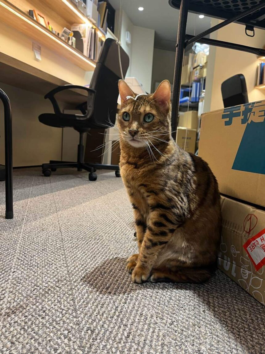 今年最後となりました | 株式会社ゴーイングホーム